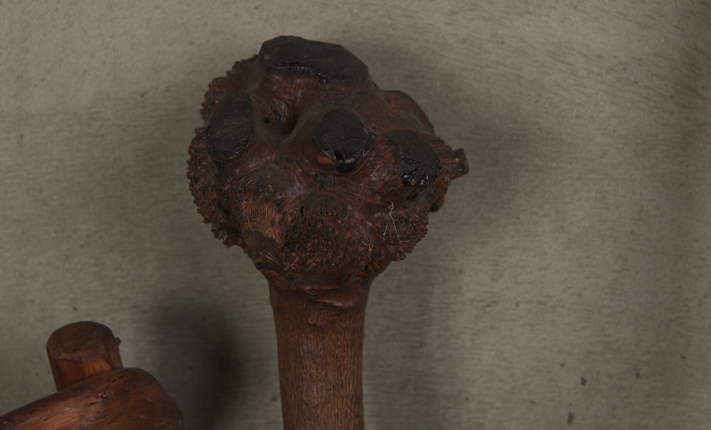 BRASS STRAPPED STAND WITH COLLECTION OF GNARLED WOOD WALKING STICKS ...