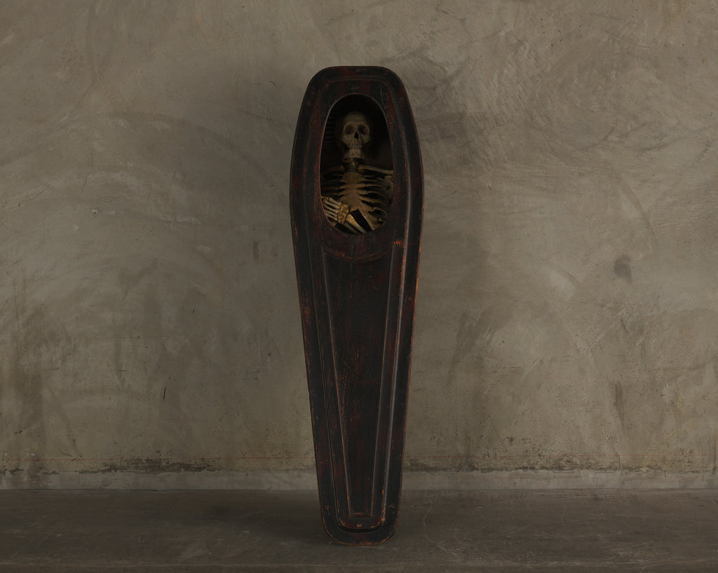 ILLUMINATED ODD FELLOWS SKELETON IN COFFIN – Blackman Cruz