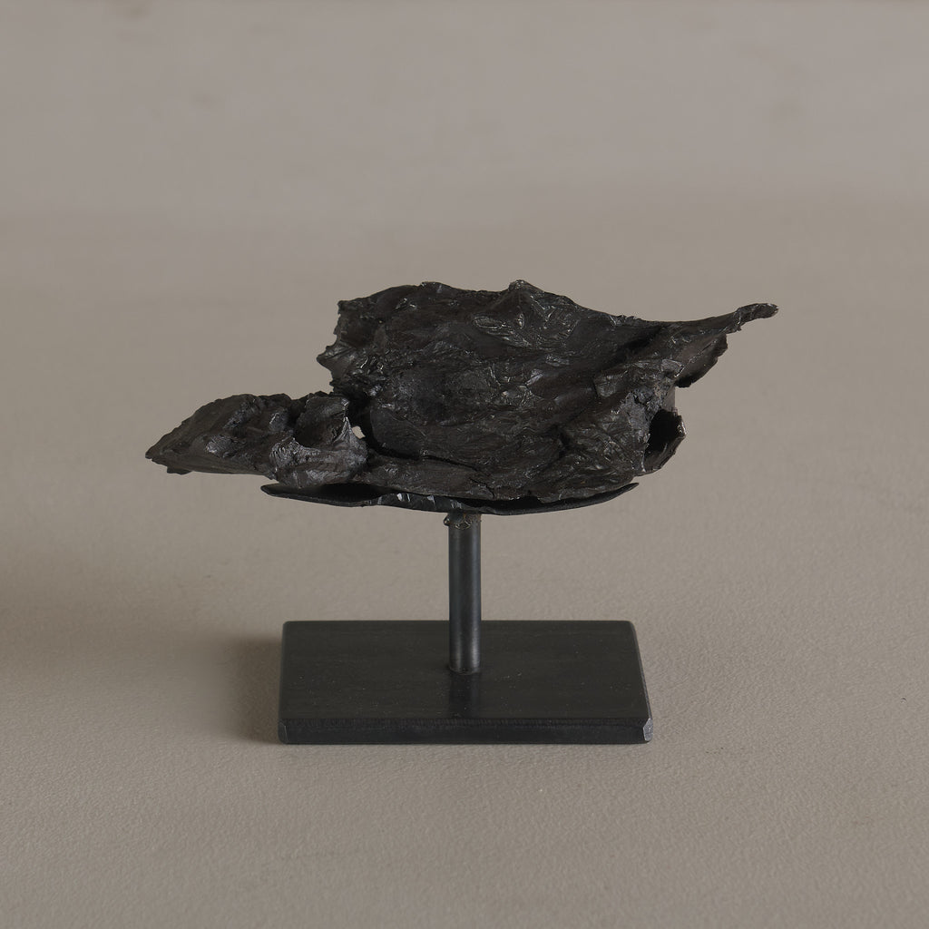 METEORITE ON STEEL STAND – Blackman Cruz