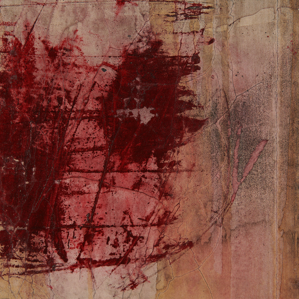 'NIGHT WALK' BY PATRICIA LARSEN – Blackman Cruz