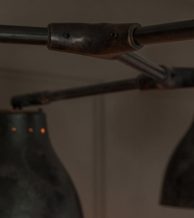 Phasmida Hanging Light by Thierry Jeannot – Blackman Cruz